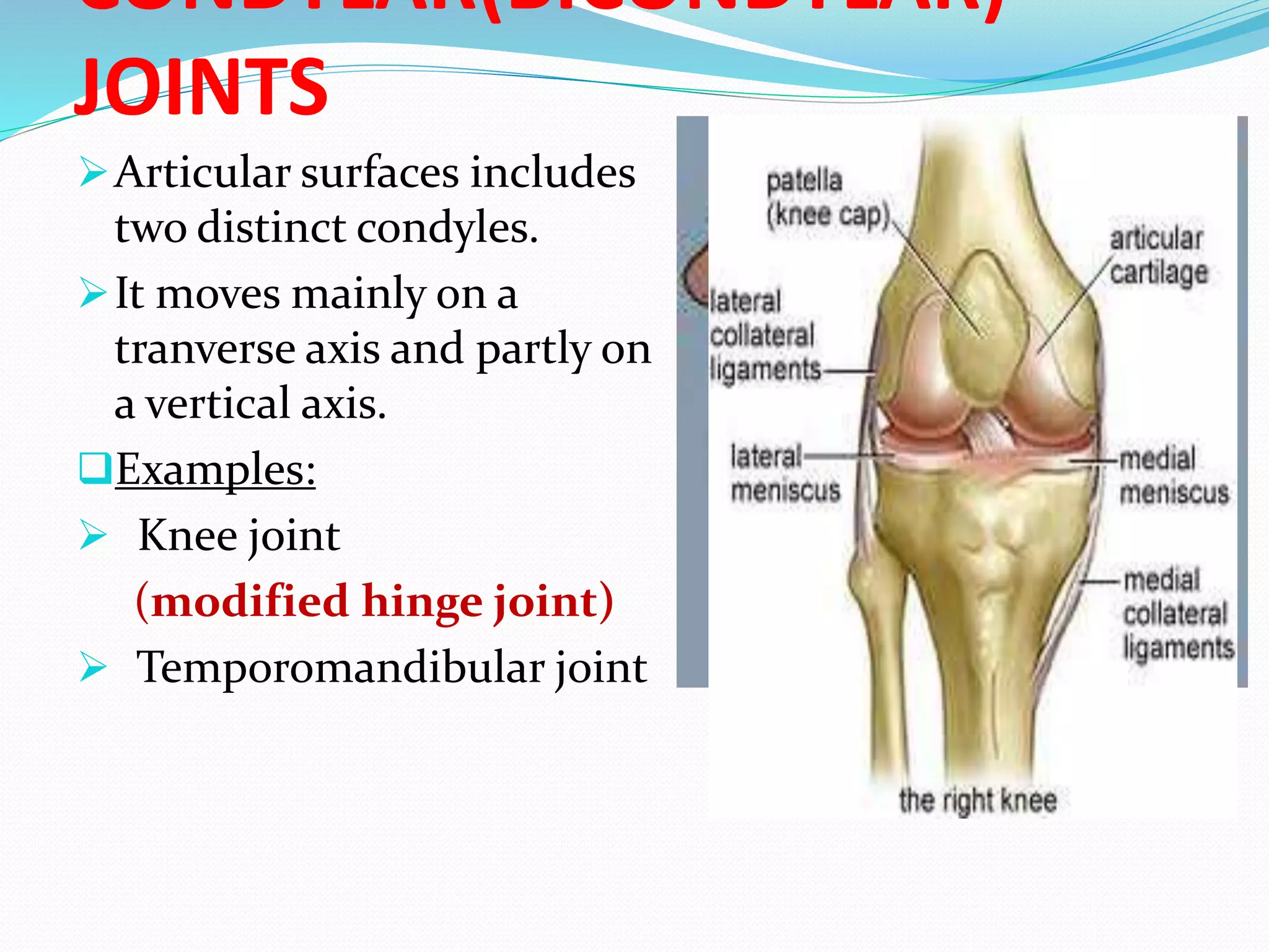 Joints anatomy and physiology | PPTX | Death, Injury, or Military ...