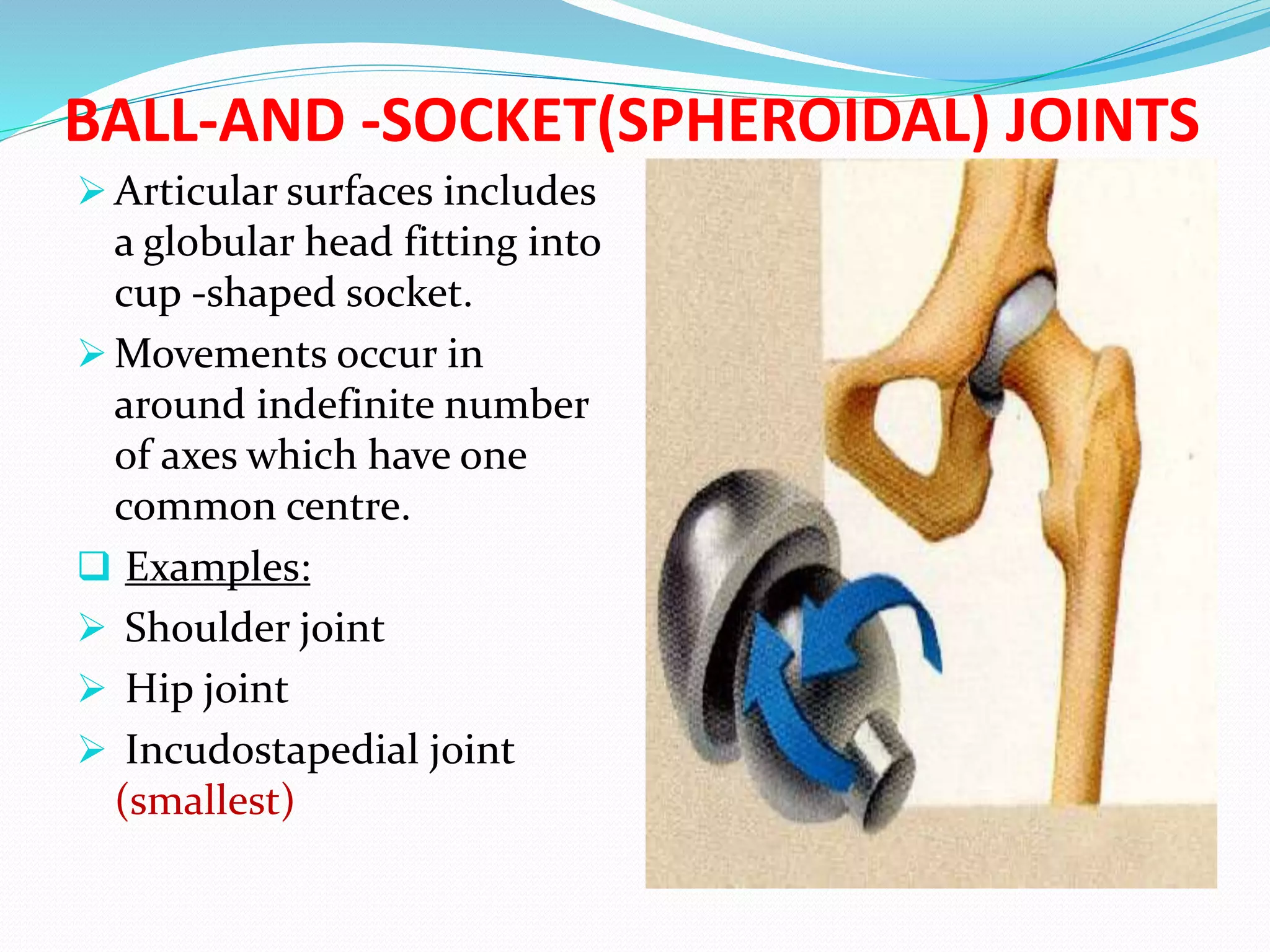Joints anatomy and physiology | PPTX | Death, Injury, or Military ...