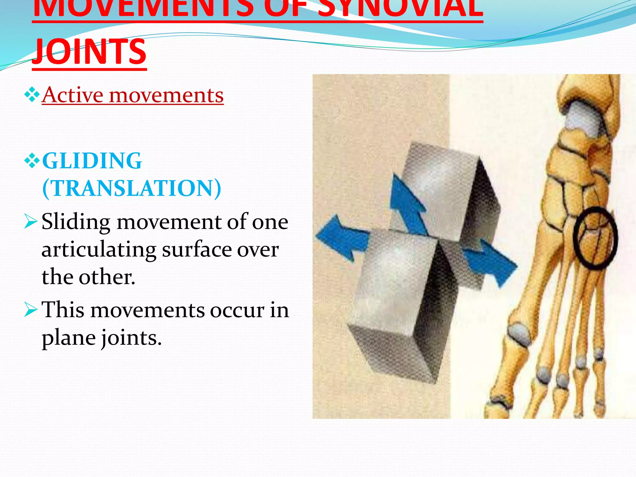 Joints anatomy and physiology | PPTX | Death, Injury, or Military ...