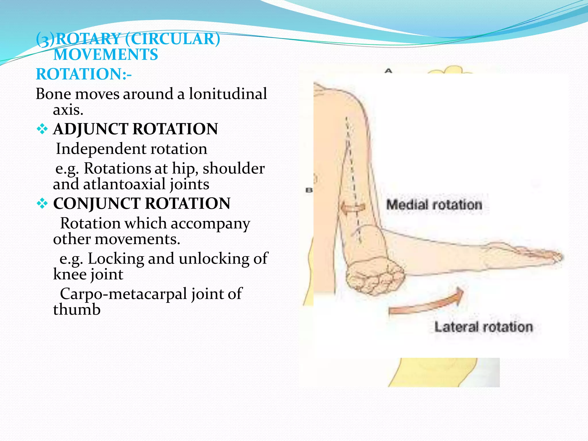 Joints anatomy and physiology | PPTX | Death, Injury, or Military ...