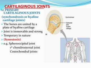 Joints anatomy and physiology | PPTX
