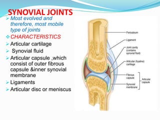 Joints anatomy and physiology | PPTX