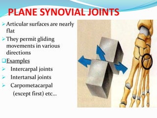 Joints anatomy and physiology | PPTX