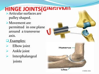 Joints anatomy and physiology | PPTX