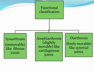 Joints anatomy and physiology | PPTX