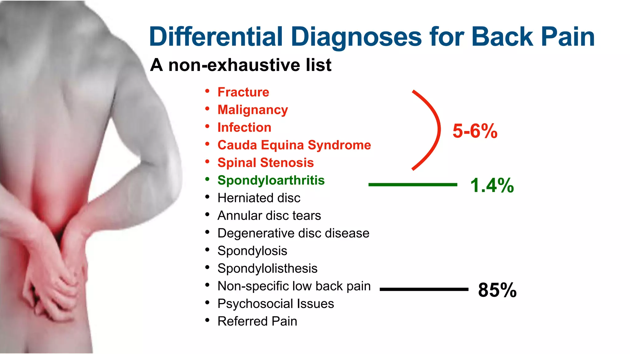 Joint and Back Pain Approach.pptx