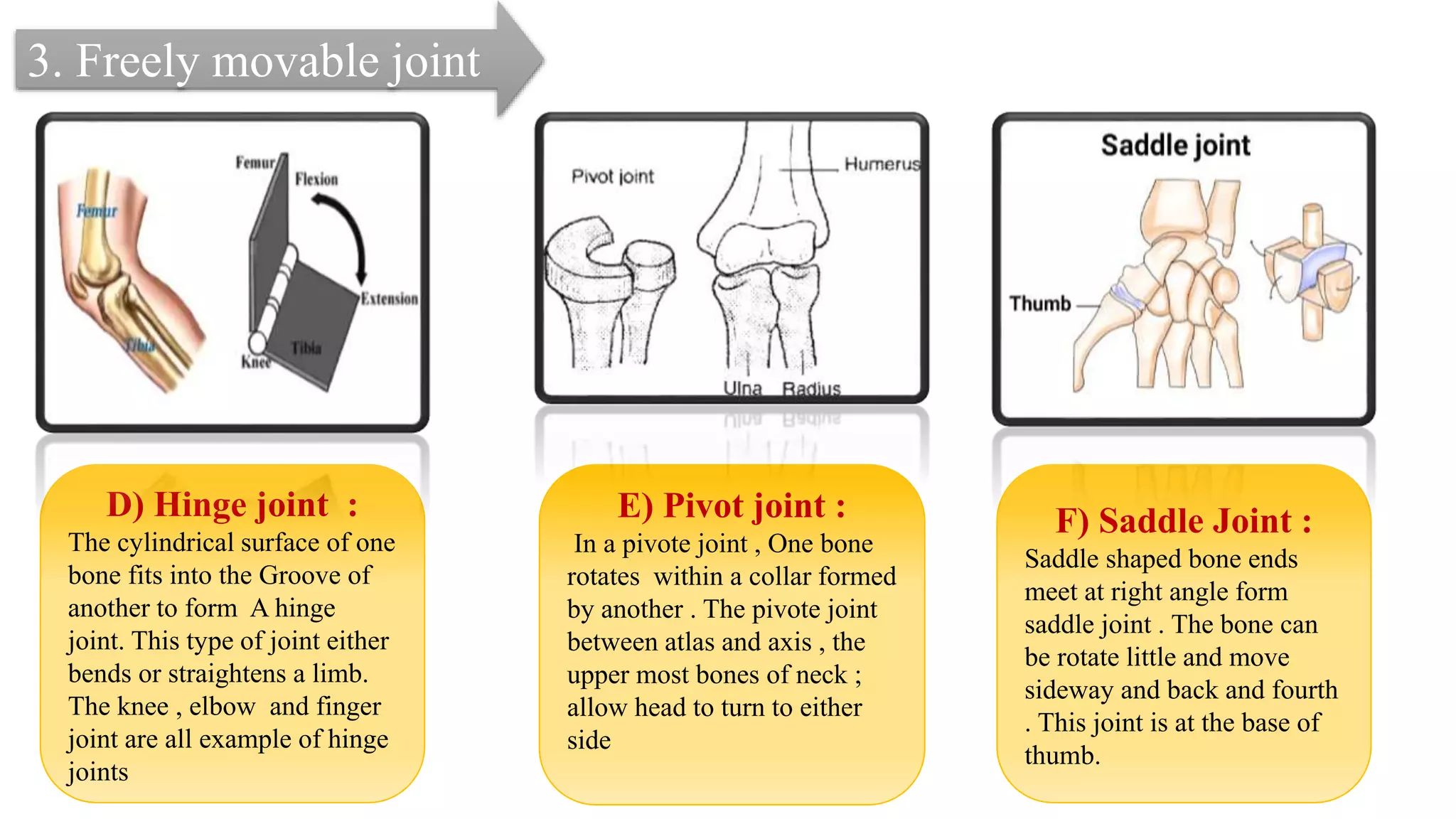 Joint and Joint dissorders.pptx