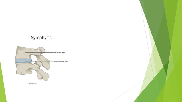 Principle of Bone and Joint biology.pptx
