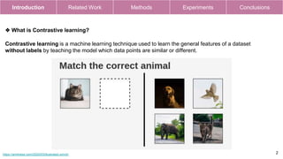 Joint contrastive learning with infinite possibilities | PPTX
