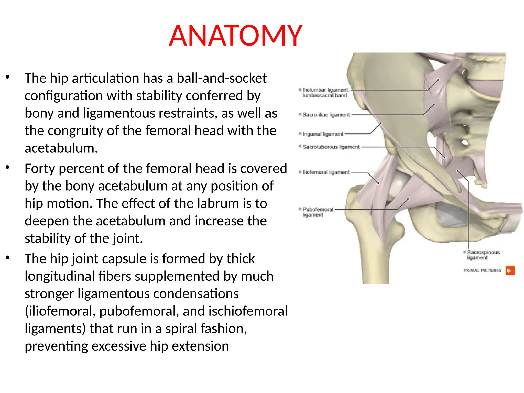 Dislocation of major joints ( Shoulder , hip and knee) | PPTX