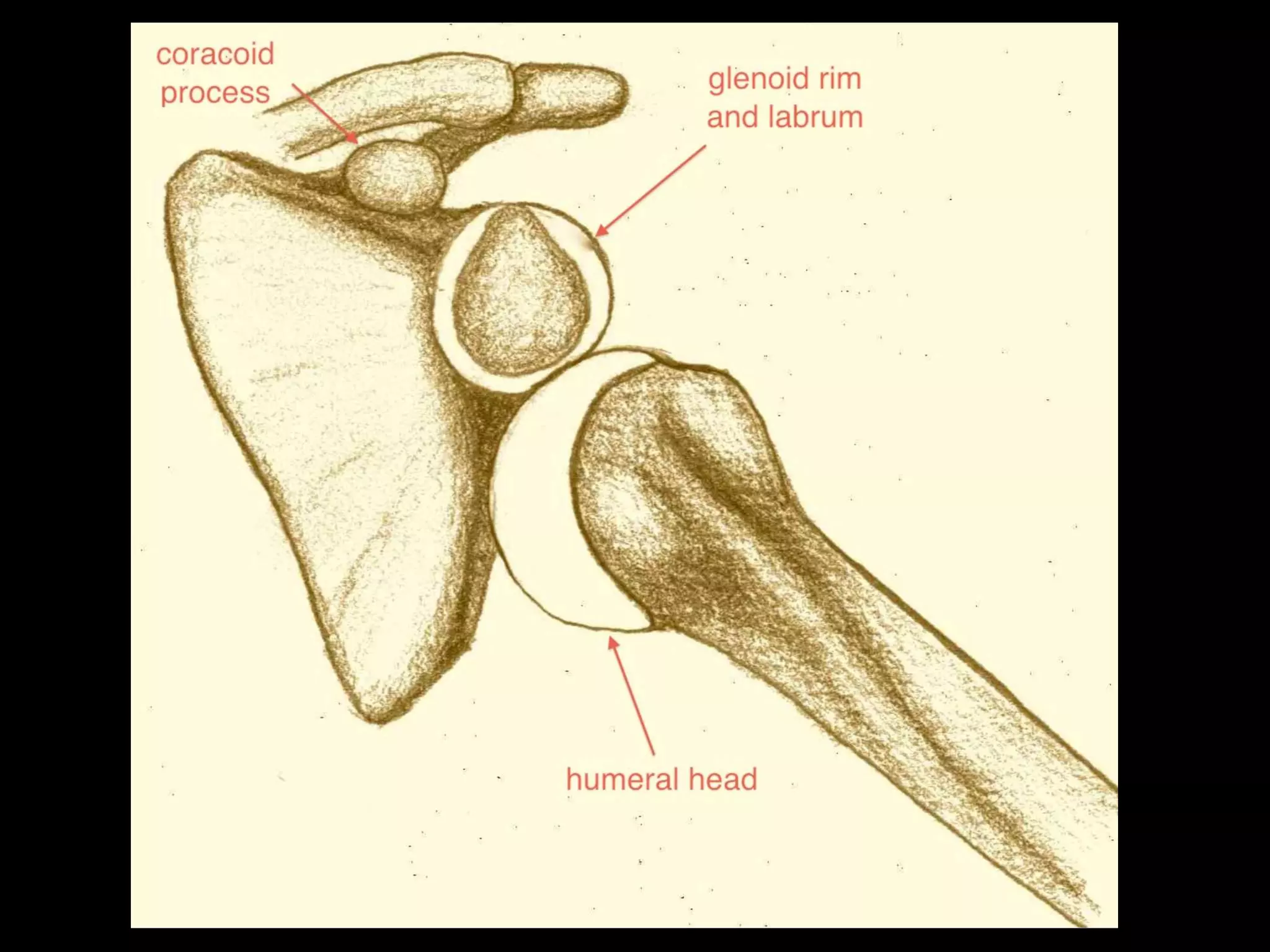 Joint dislocations | PPTX