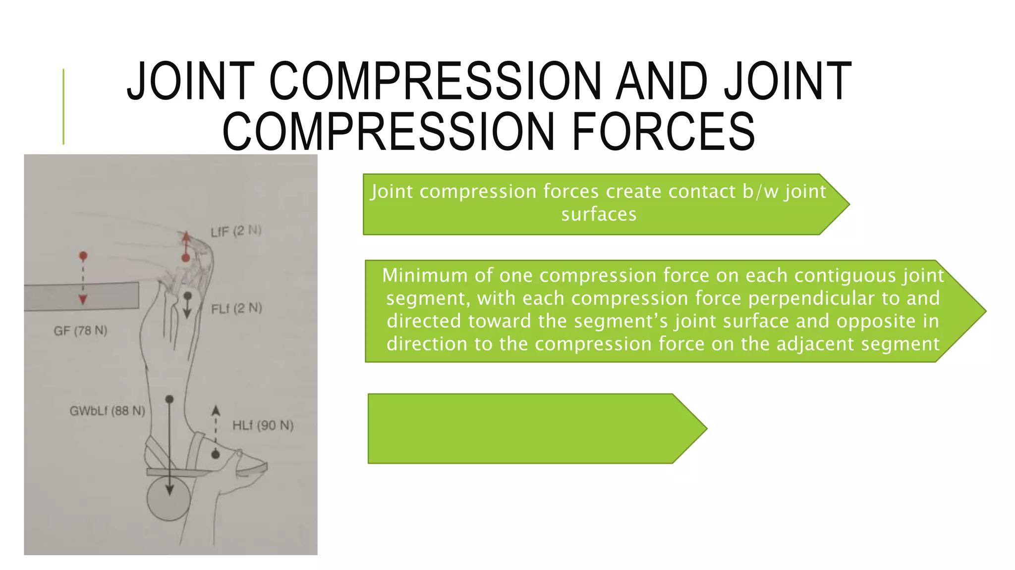 joint forces and lubrication.pptx