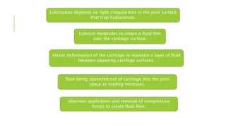 joint forces and lubrication.pptx