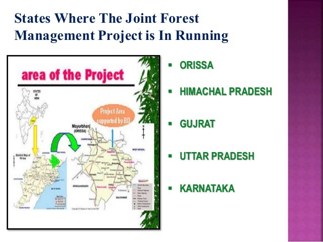 Joint forest management