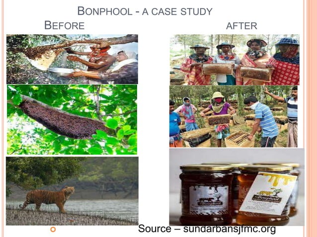 Joint forest management | PPTX | Agriculture | Industries