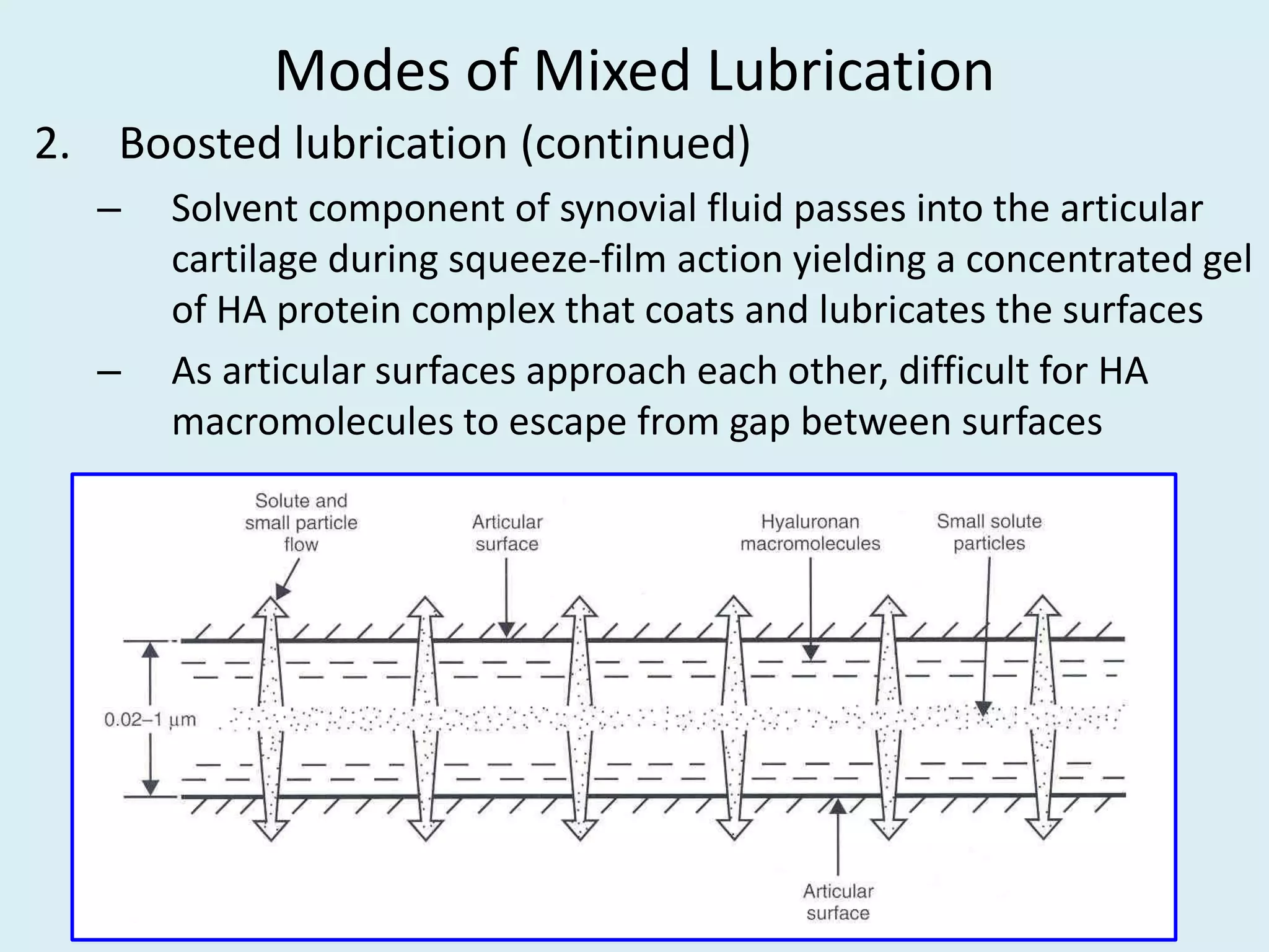 Joint lubrication by dr debasis mukherjee | PPTX | Physics | Science