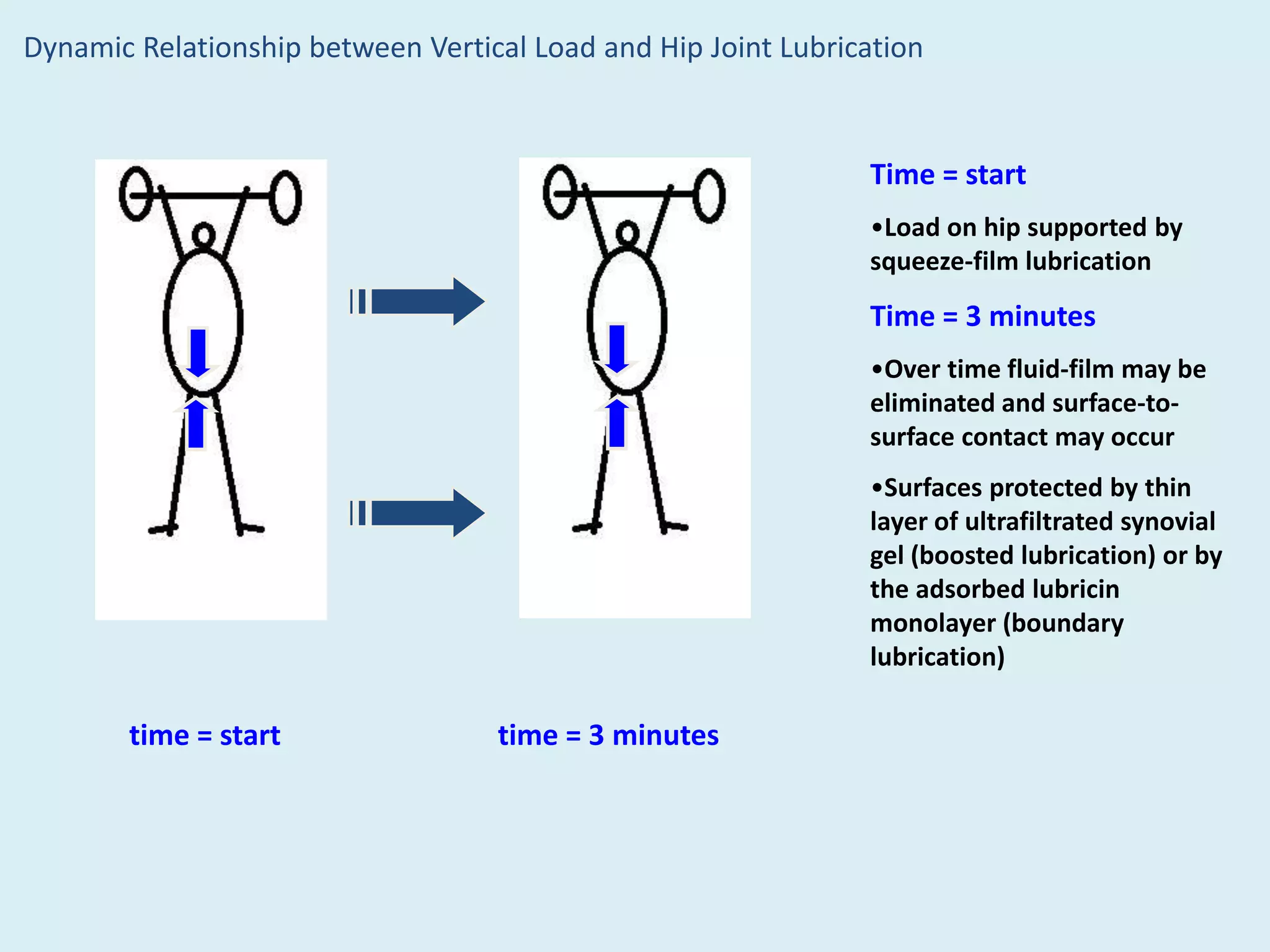 Joint lubrication by dr debasis mukherjee | PPTX | Physics | Science