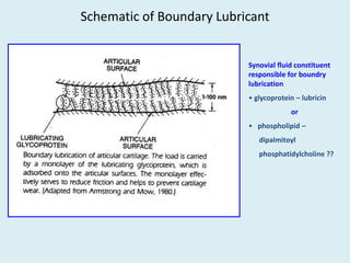 Joint lubrication by dr debasis mukherjee | PPTX | Physics | Science