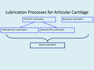 Joint lubrication by dr debasis mukherjee | PPTX