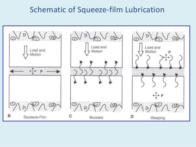 Joint lubrication by dr debasis mukherjee