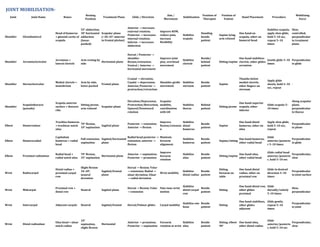 Joint MOBILSATION TABLE for physiotherapy .pdf