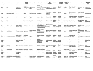 Joint MOBILSATION TABLE for physiotherapy .pdf