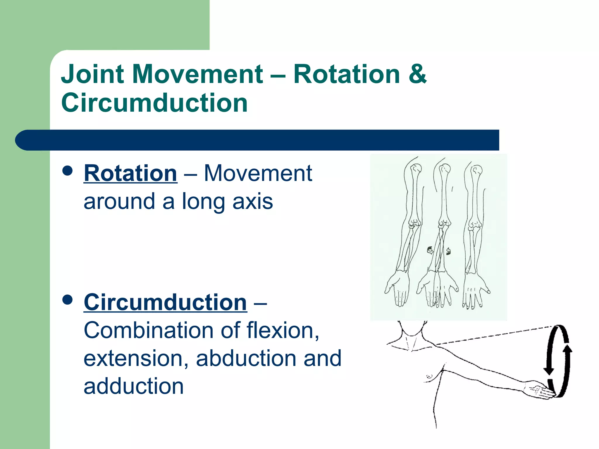 Joint movement | PPT