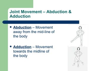 Joint movement | PPT