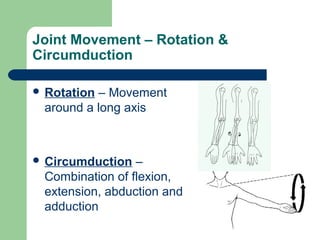 Joint movement | PPT