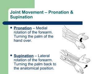 Joint movement | PPT