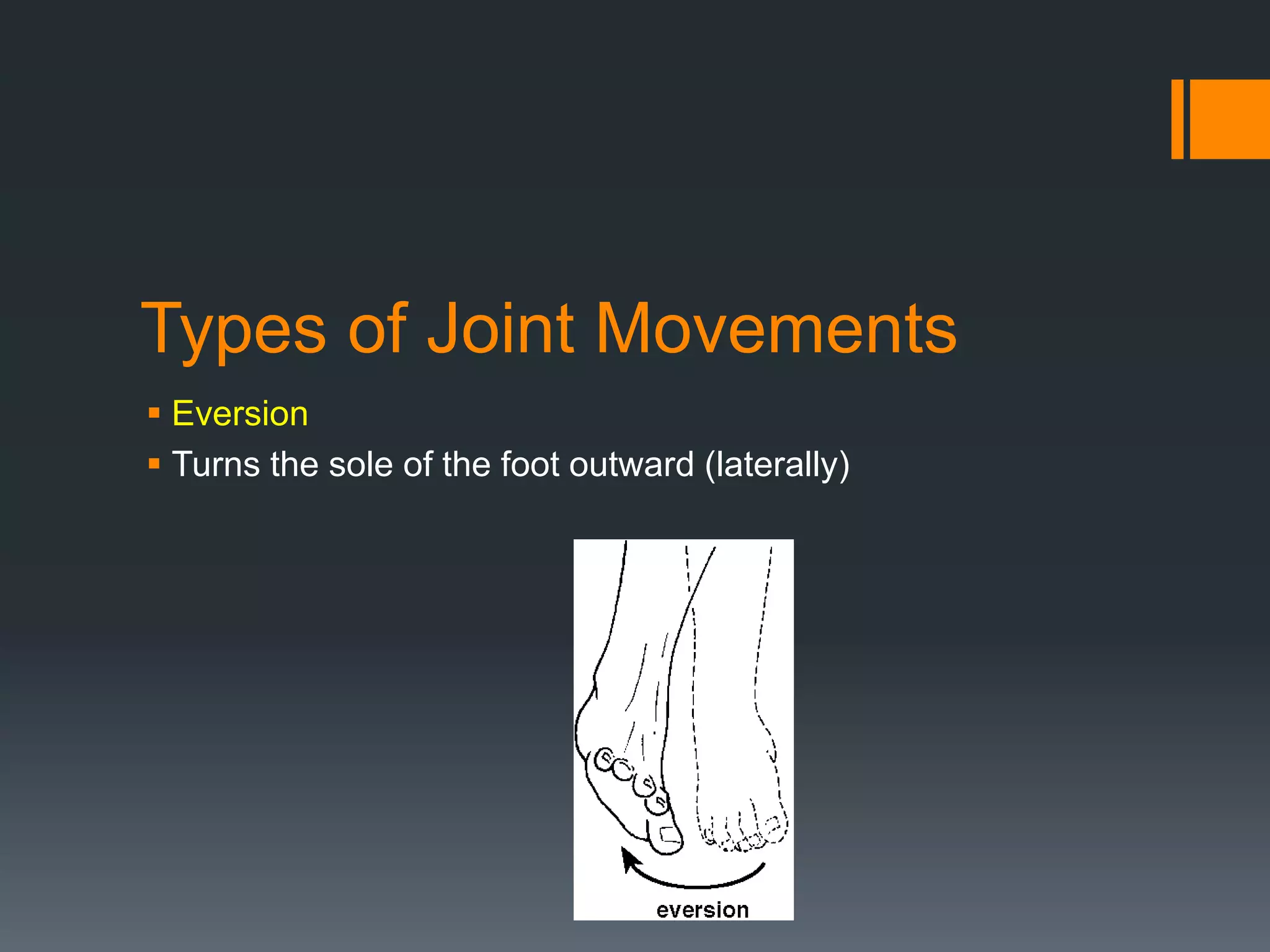 Joint movements and classifications.ppt