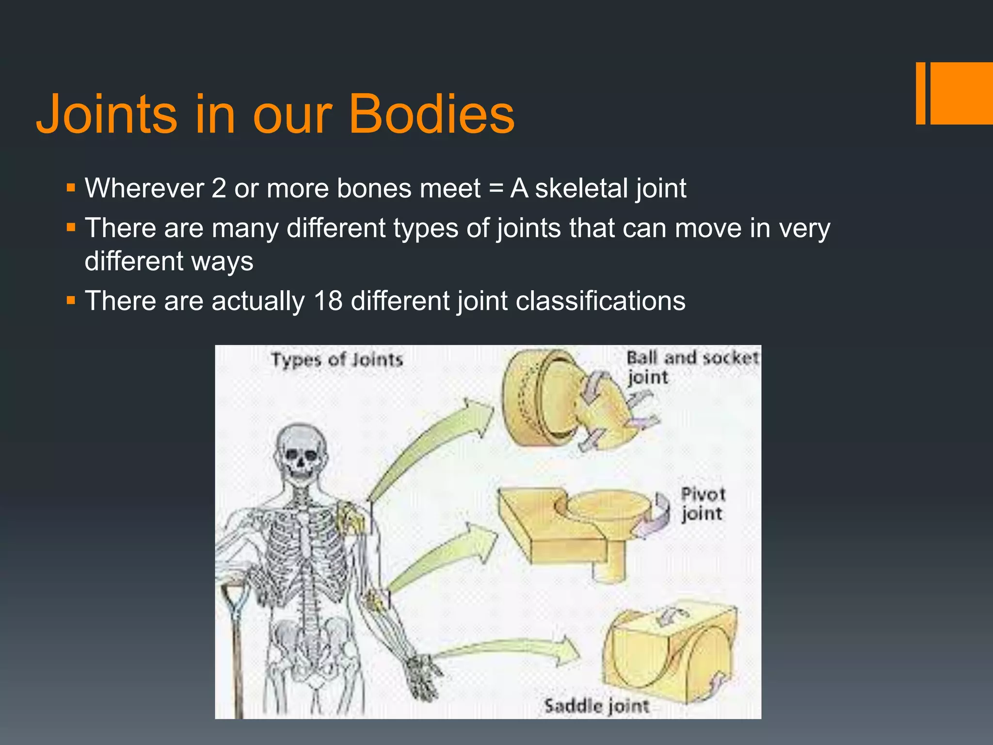 Joint movements and classifications.ppt