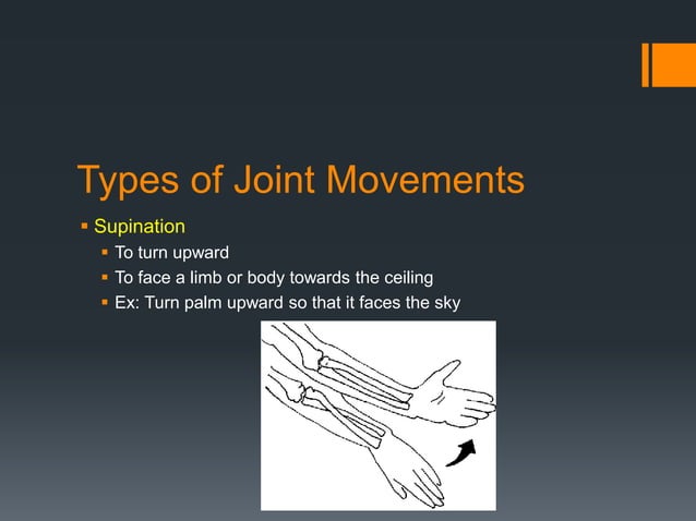 Joint movements and classifications.ppt