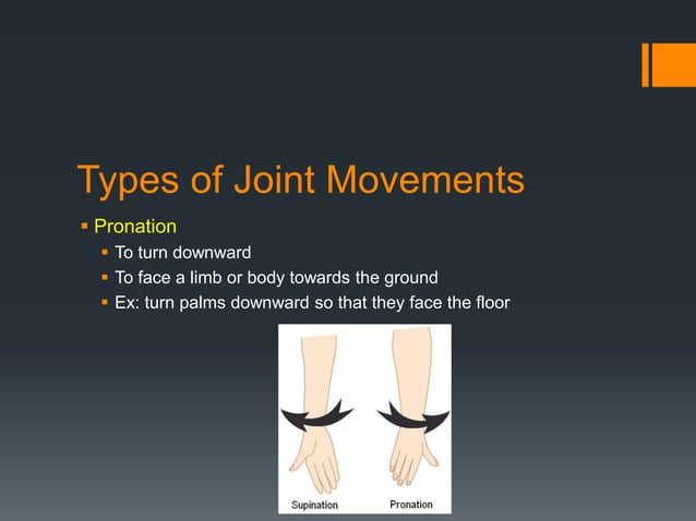 Joint movements and classifications.ppt