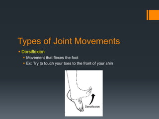 Joint movements and classifications.ppt
