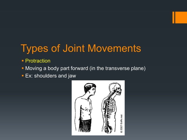Joint movements and classifications.ppt