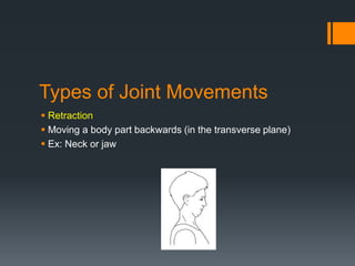 Joint movements and classifications.ppt