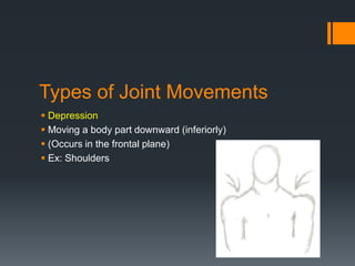 Joint movements and classifications.ppt