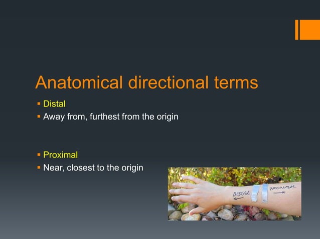 Joint movements and classifications.ppt