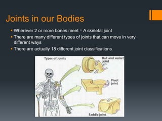 Joint movements and classifications.ppt