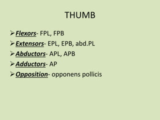 Joint muscles their actions & common injuries | PPT