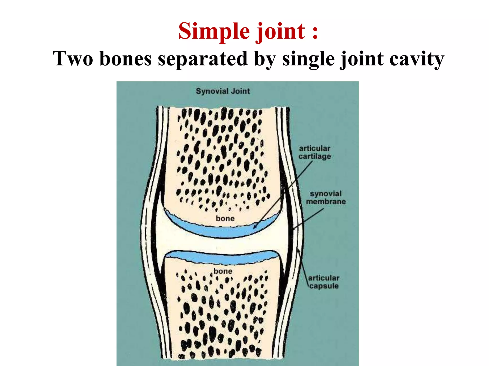 Joint simple description with radiology | PPTX
