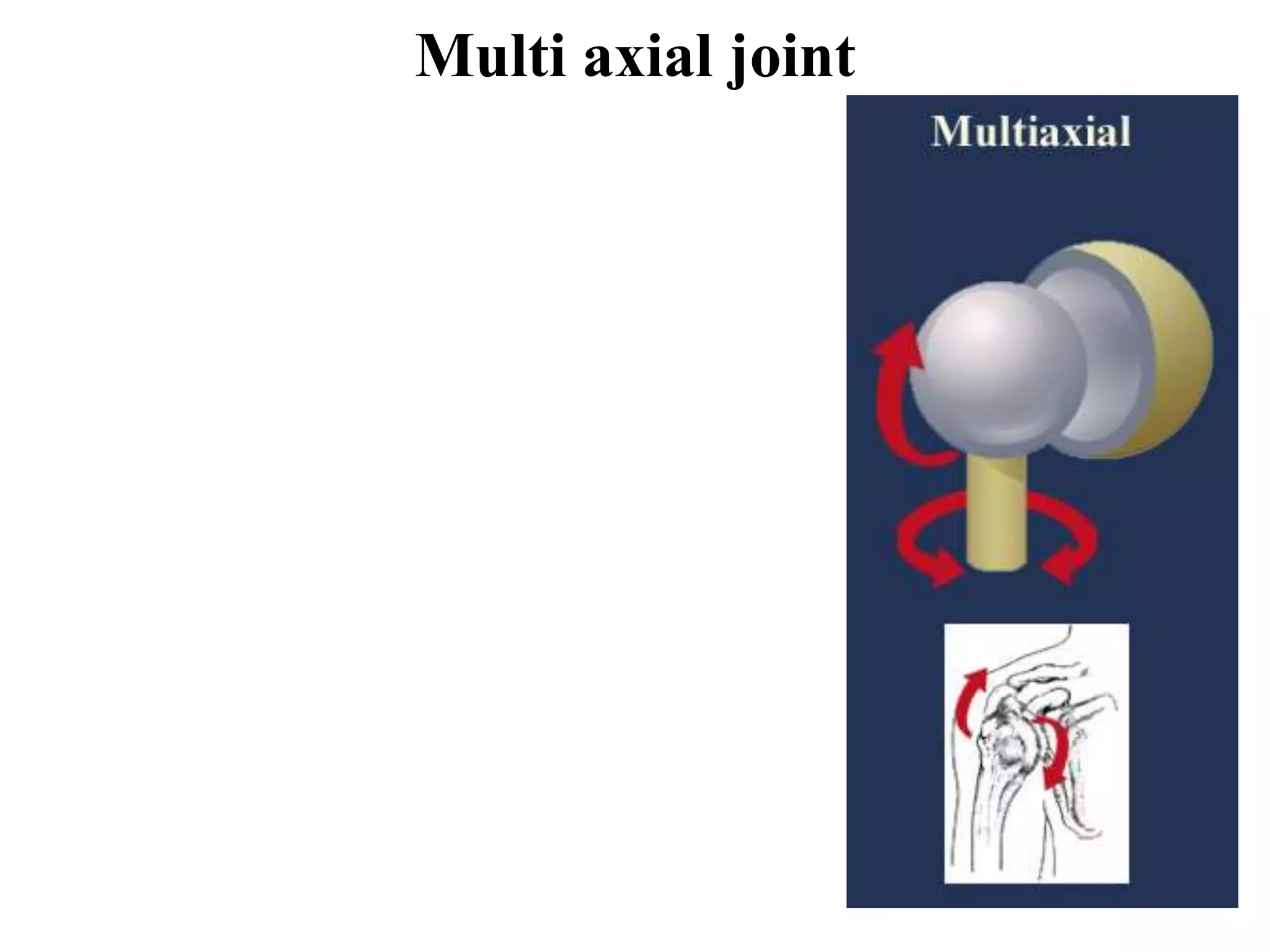 Joint simple description with radiology | PPTX