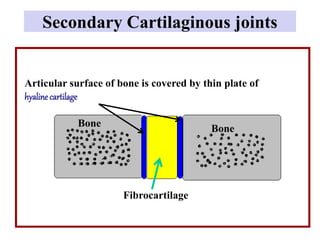 Joint simple description with radiology | PPTX