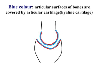 Joint simple description with radiology | PPTX