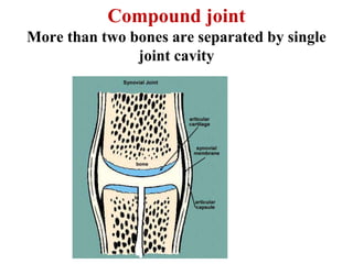 Joint simple description with radiology | PPTX