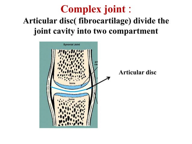 Joint simple description with radiology | PPT | Free Download