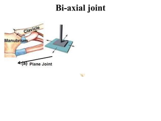 Joint simple description with radiology | PPTX