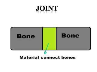 Joint simple description with radiology | PPTX