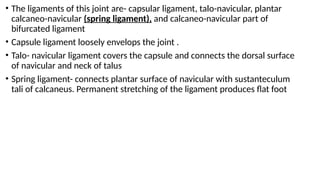 Human anatomy, joints of foot in human anatomy | PPTX